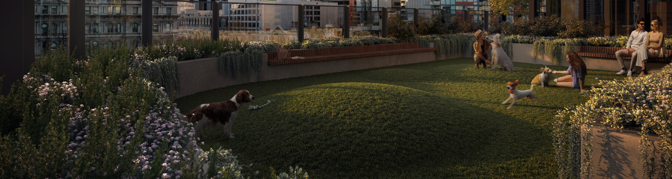 Build to Rent | Mirvac